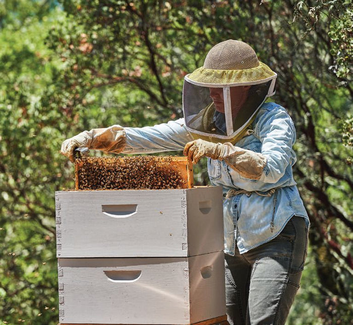 Products – Sonoma County Bee Company